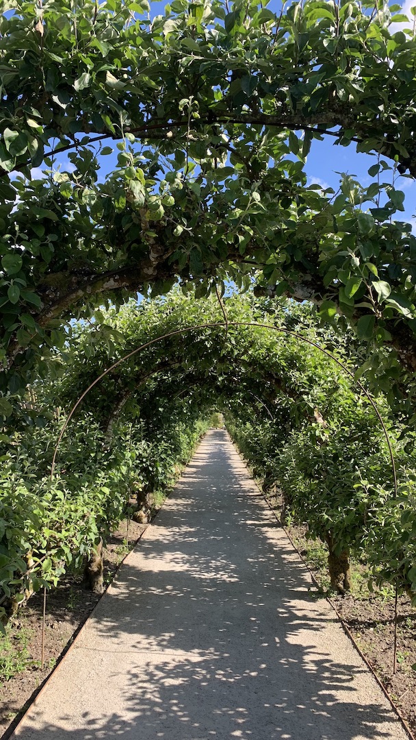 June Cornwall trip – Hawthorn Horticulture