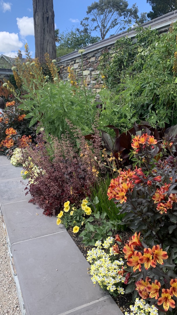 June Cornwall trip – Hawthorn Horticulture