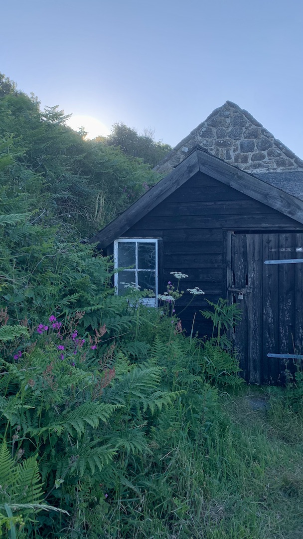 June Cornwall trip – Hawthorn Horticulture