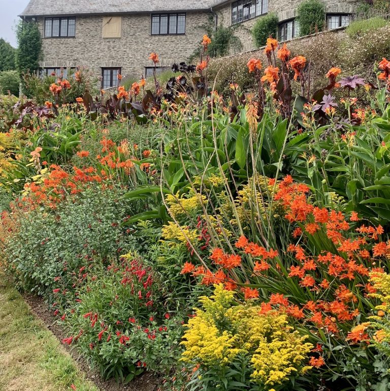 Devon Gardens in July – Hawthorn Horticulture
